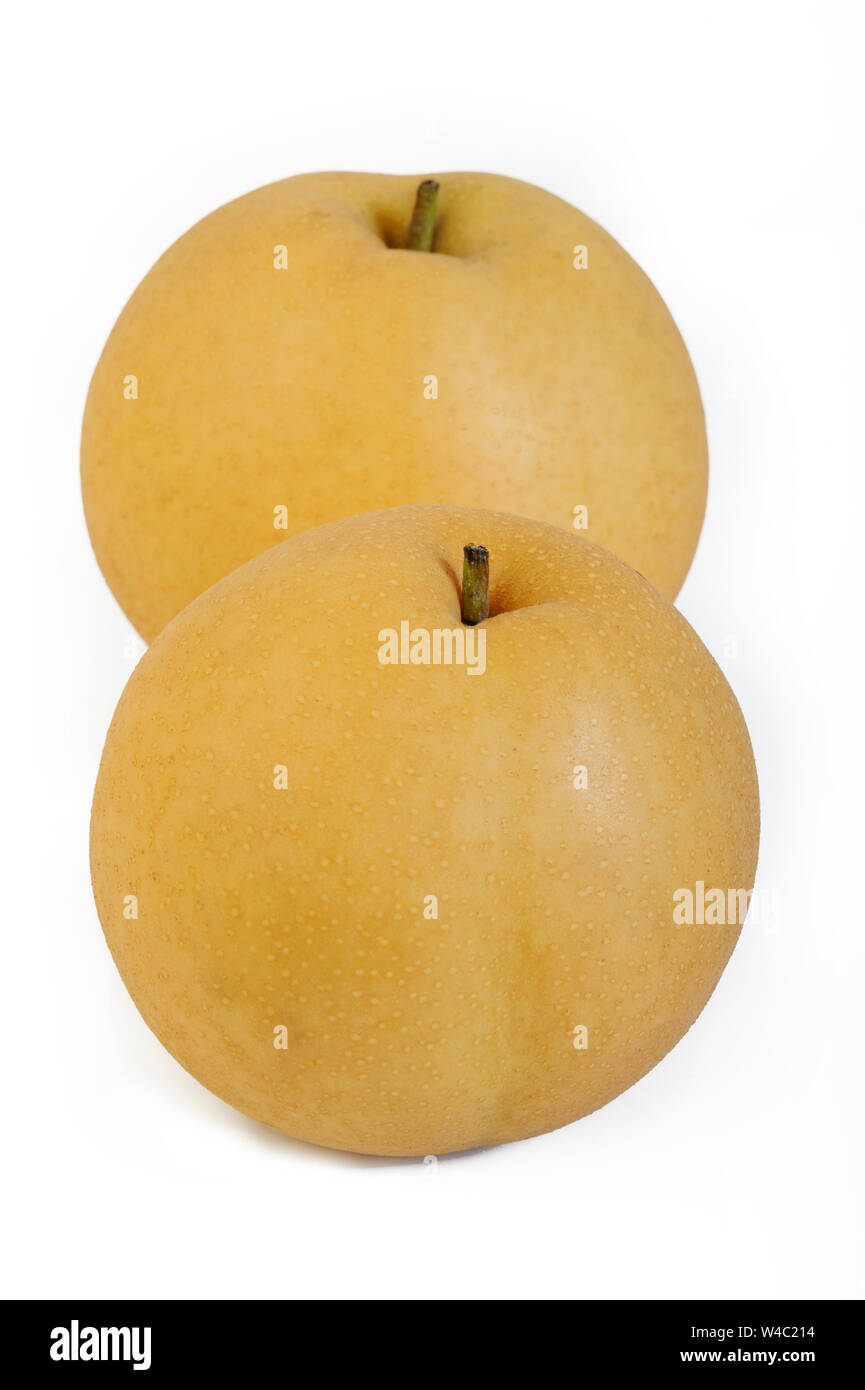 snow pear on white background Stock Photo - Alamy