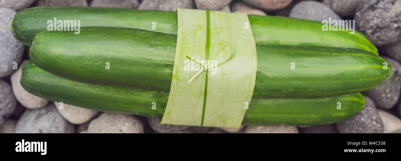 BANNER, LONG FORMAT Eco-friendly product packaging concept. Cucumber ...