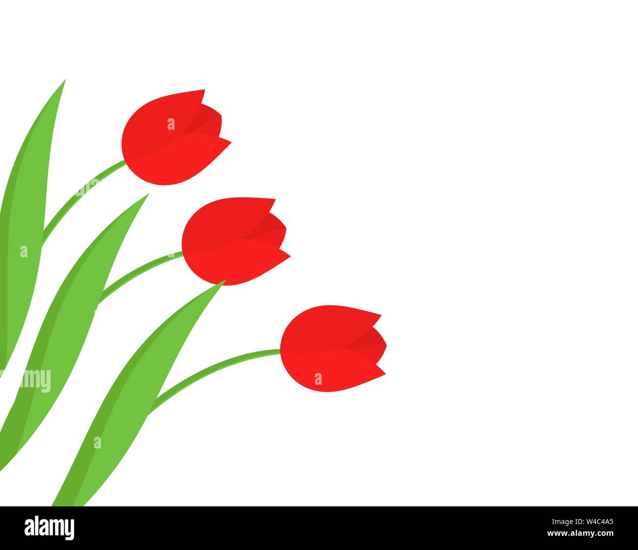 Red tulip flowers background. Vector illustration Stock Vector Image ...