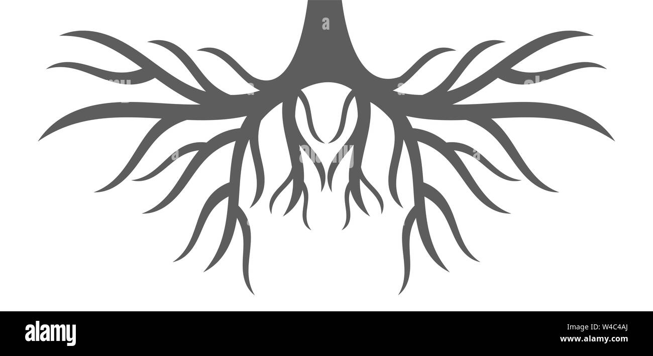 Tree roots shape. Vector illustration Stock Vector Image & Art - Alamy