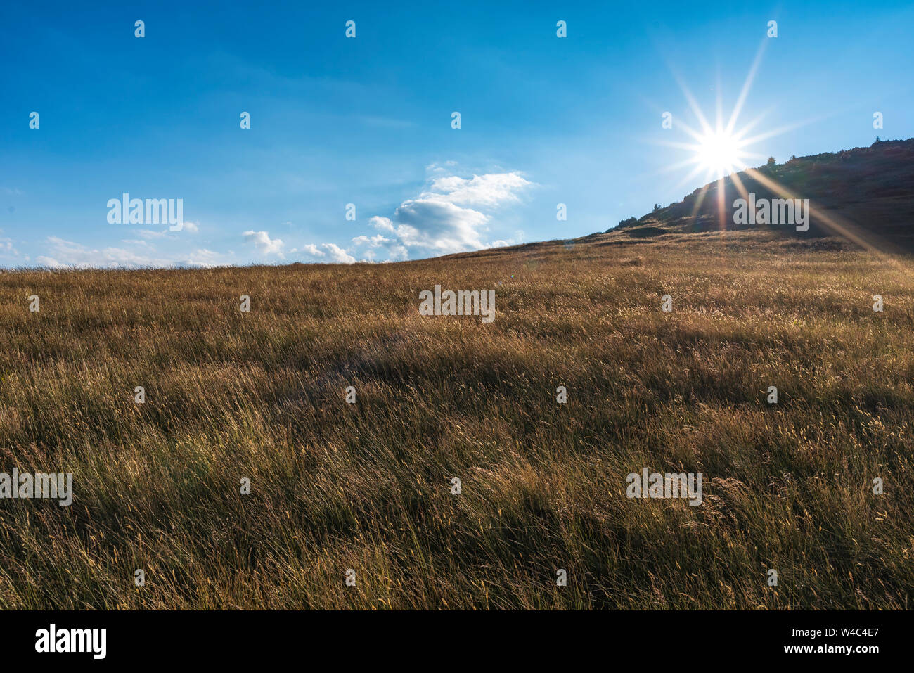 Beautiful panorama landscape with golden sun and meadow at sunset. Sun ...