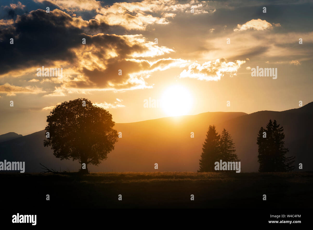 Rural warm sunlight view hi-res stock photography and images - Alamy