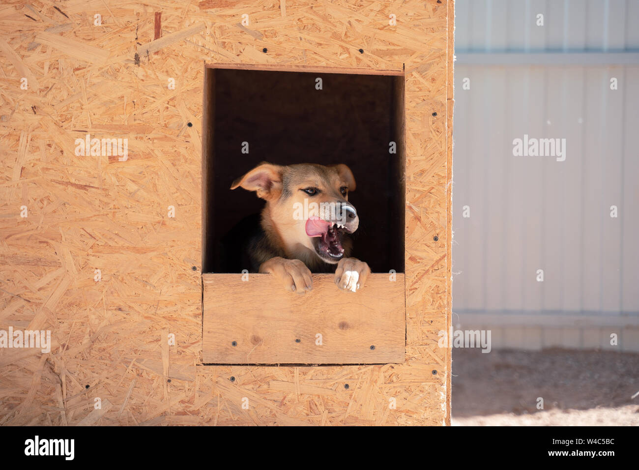 Wooden booth hi-res stock photography and images - Alamy