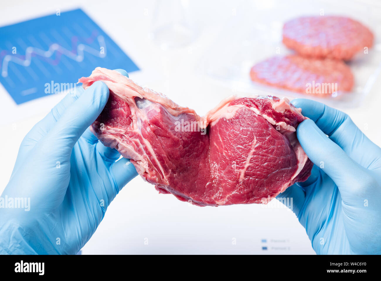 Meat steak slice in lab scientist hands. Meat inspection control check ...