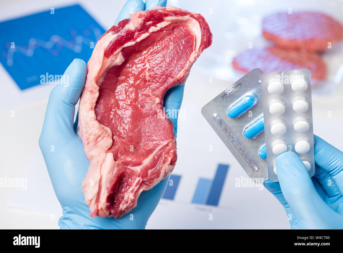 Meat and drugs pills in laboratory scientist hands. Livestock meat ...