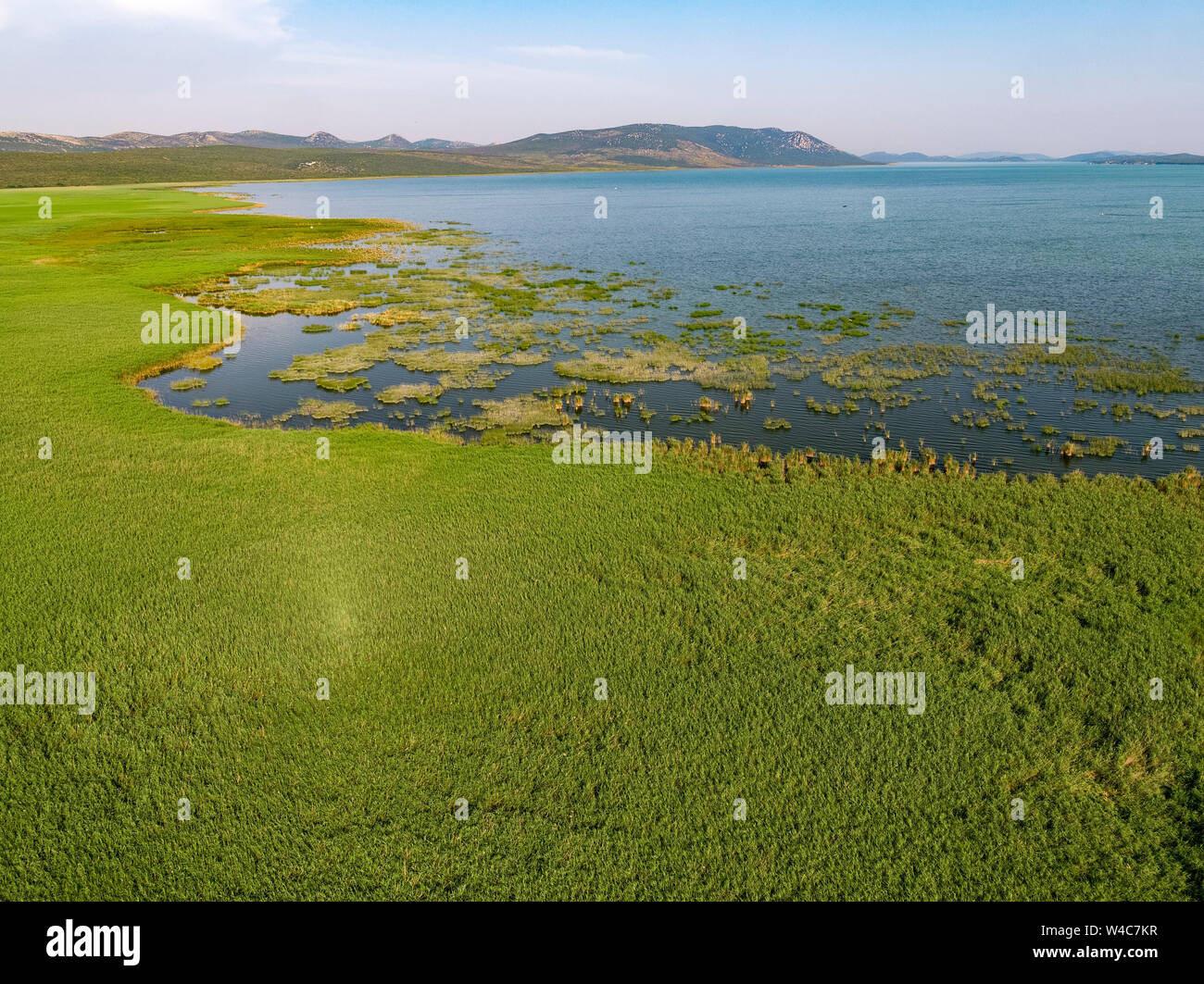 Aerial view of the reeds on the lake called Vransko jezero in Croatia ...