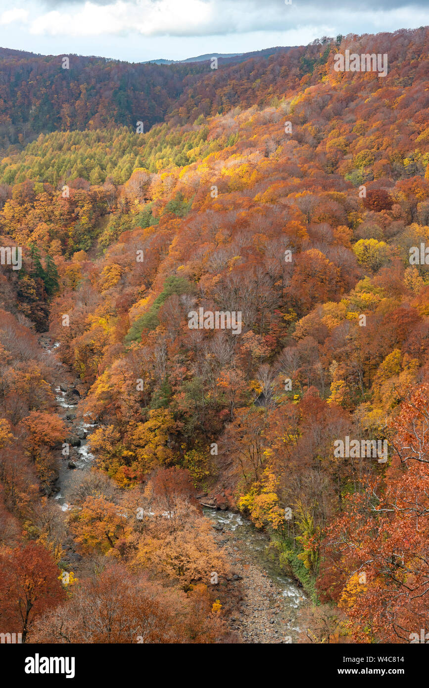 Autumn foliage scenery view, beautiful landscapes. Fall is full of ...