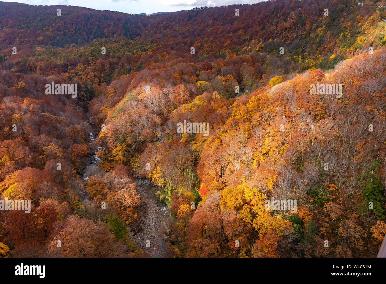 Autumn foliage scenery. Aerial view of valley and stream in fall season ...