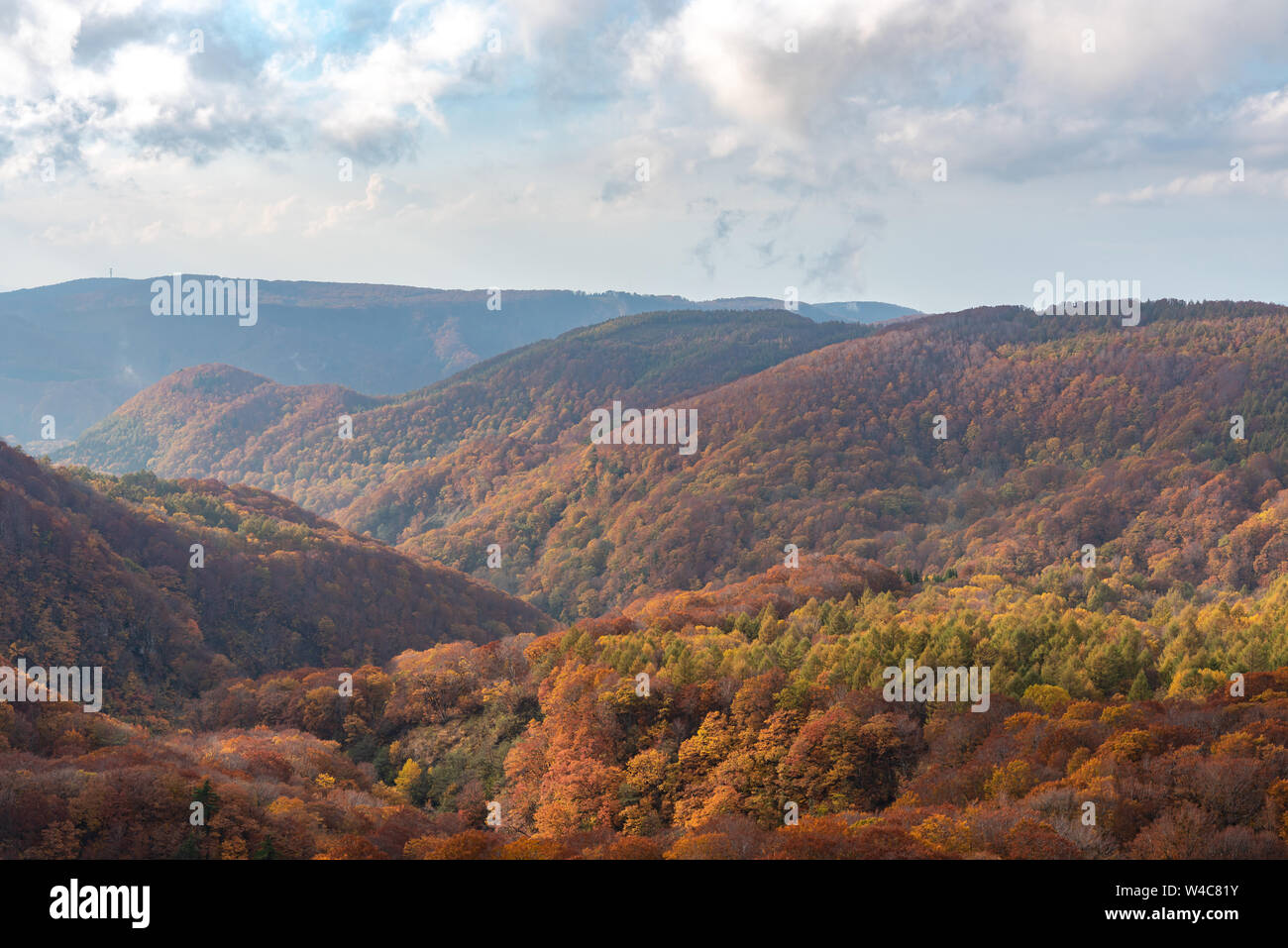 Autumn foliage scenery view, beautiful landscapes. Fall is full of ...