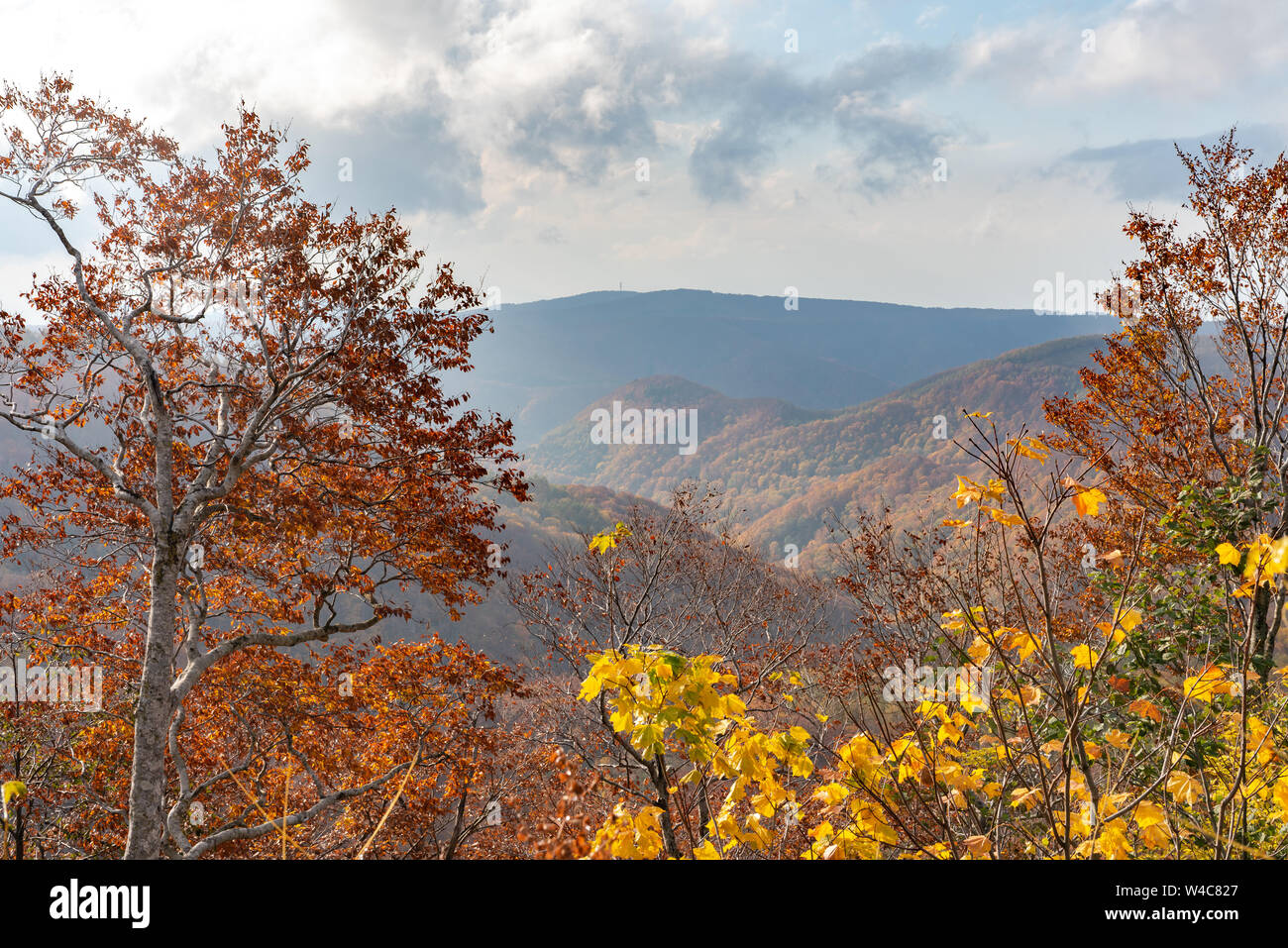 Autumn foliage scenery view, beautiful landscapes. Fall is full of ...
