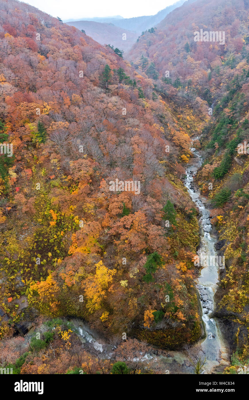 Autumn foliage scenery. Aerial view of valley and stream in fall season ...