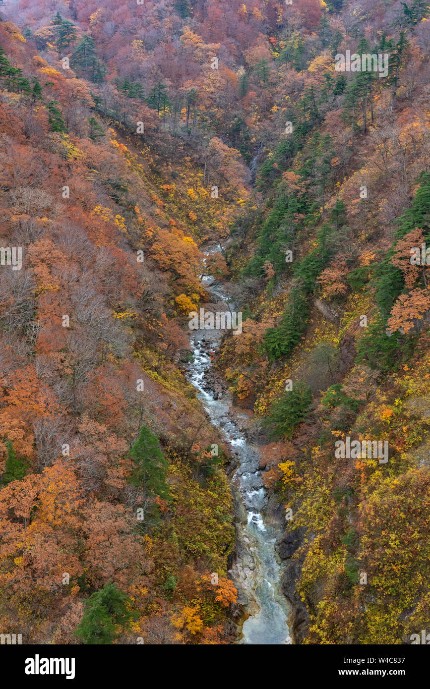 Autumn foliage scenery. Aerial view of valley and stream in fall season ...