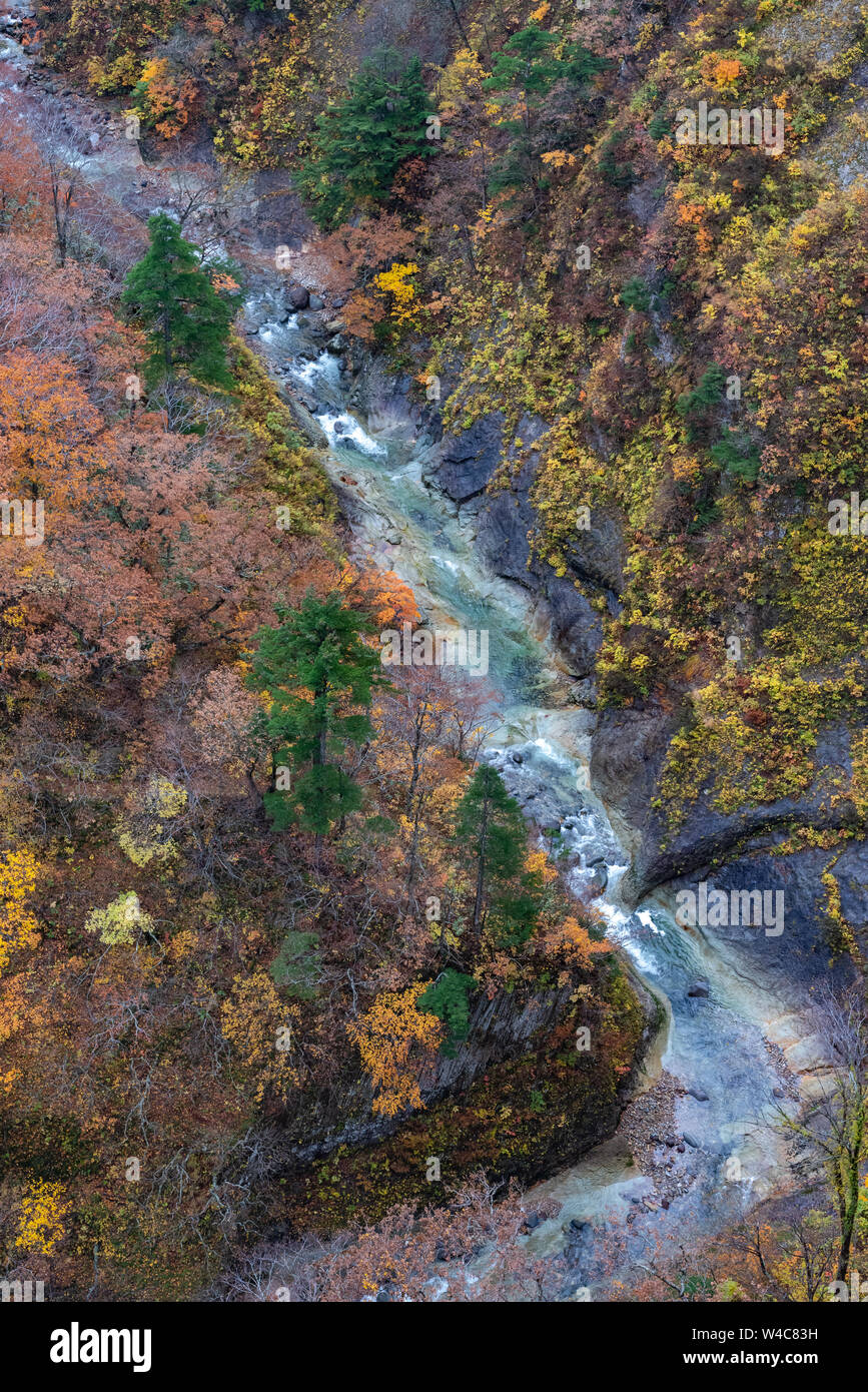 Autumn foliage scenery. Aerial view of valley and stream in fall season ...