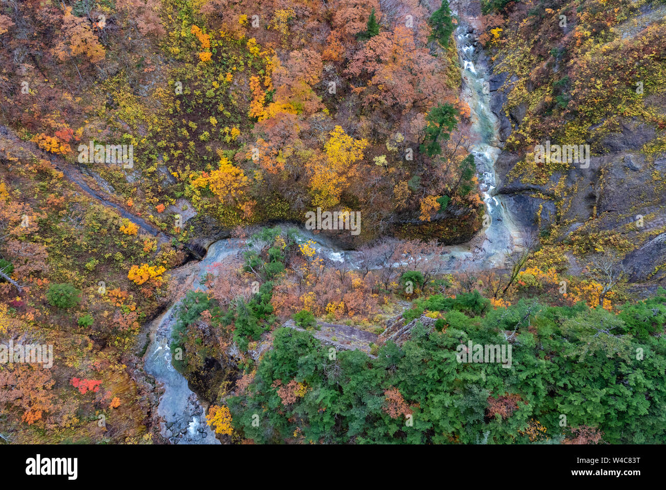 Autumn foliage scenery. Aerial view of valley and stream in fall season ...
