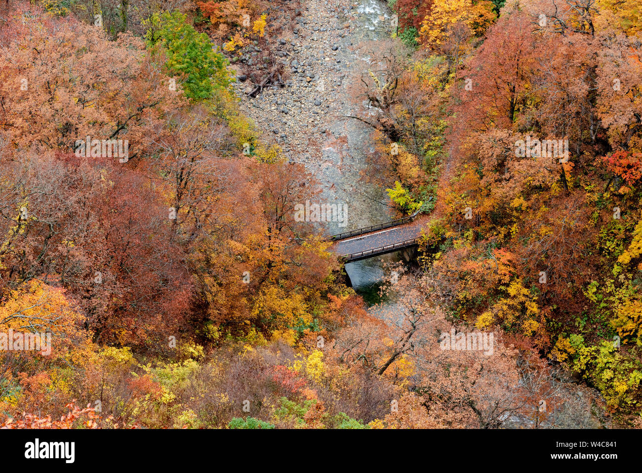 Autumn foliage scenery. Aerial view of valley and stream in fall season ...