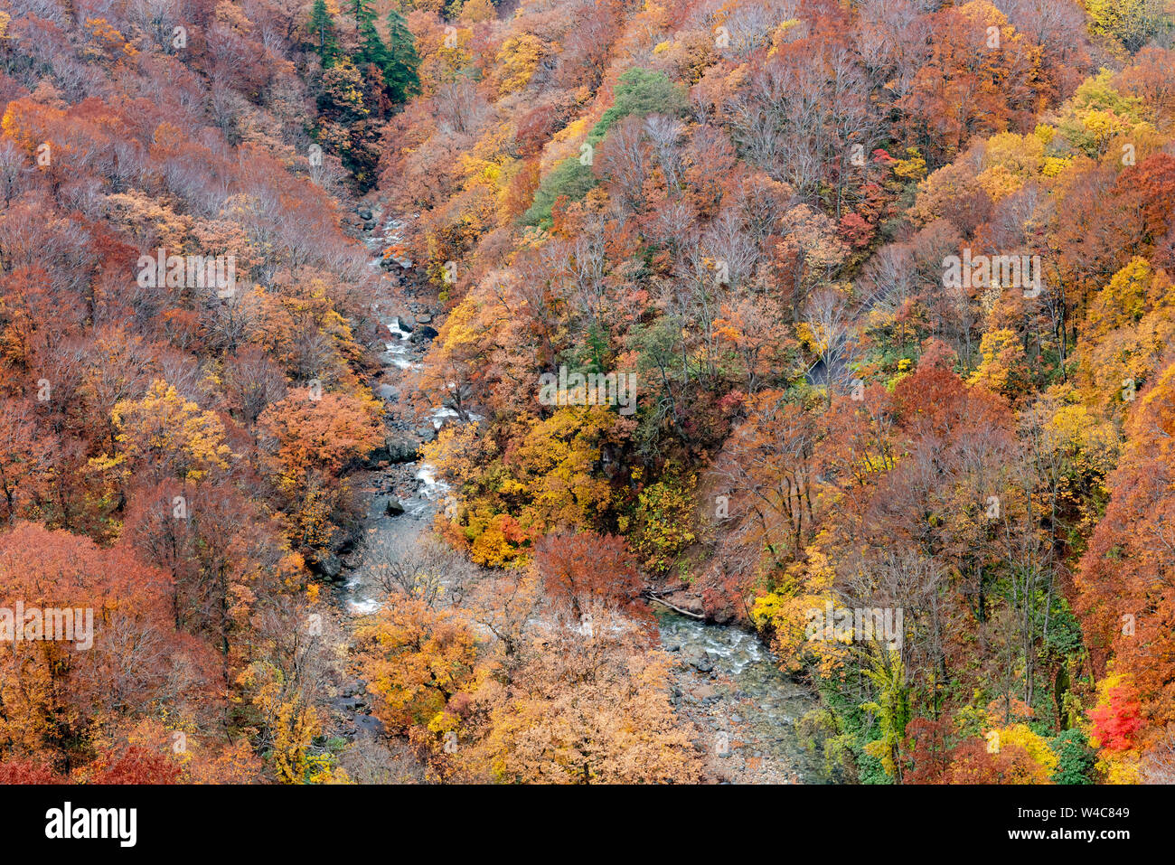 Autumn foliage scenery. Aerial view of valley and stream in fall season ...