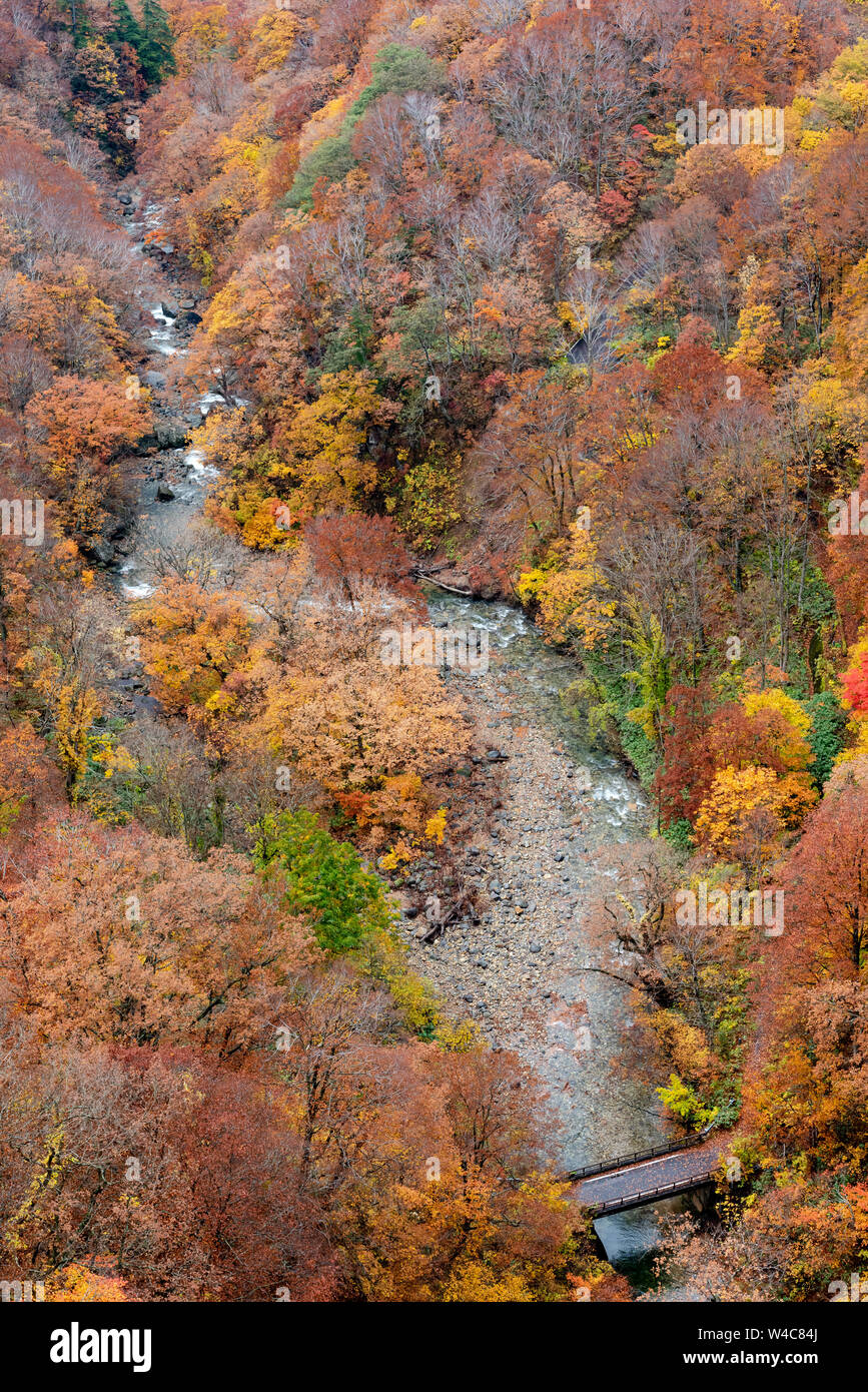 Autumn foliage scenery. Aerial view of valley and stream in fall season ...