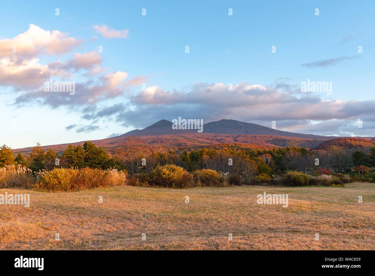 Autumn foliage scenery view, beautiful landscapes. Fall is full of ...