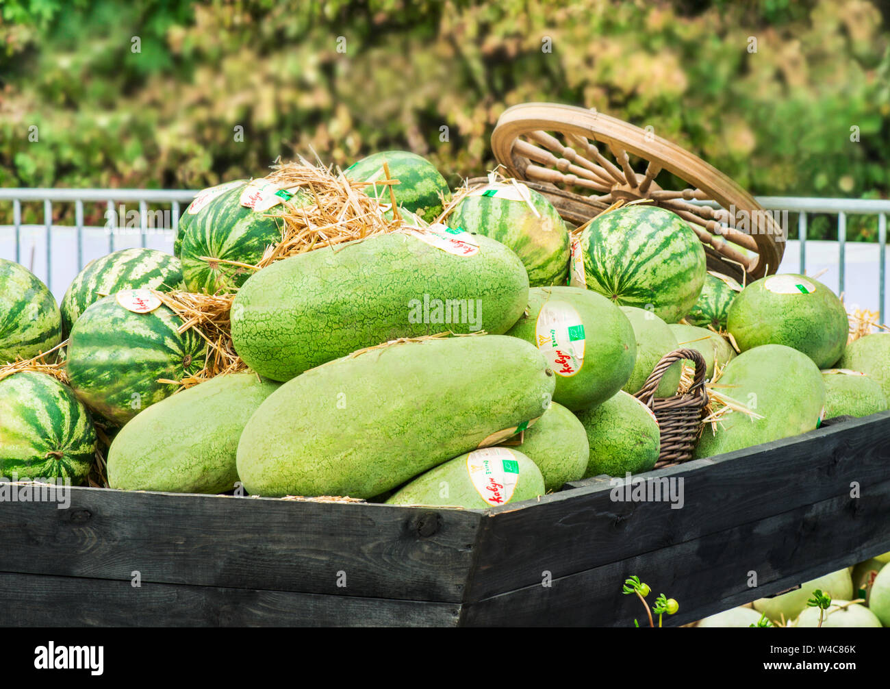 Big juicy watermelons hi-res stock photography and images - Alamy