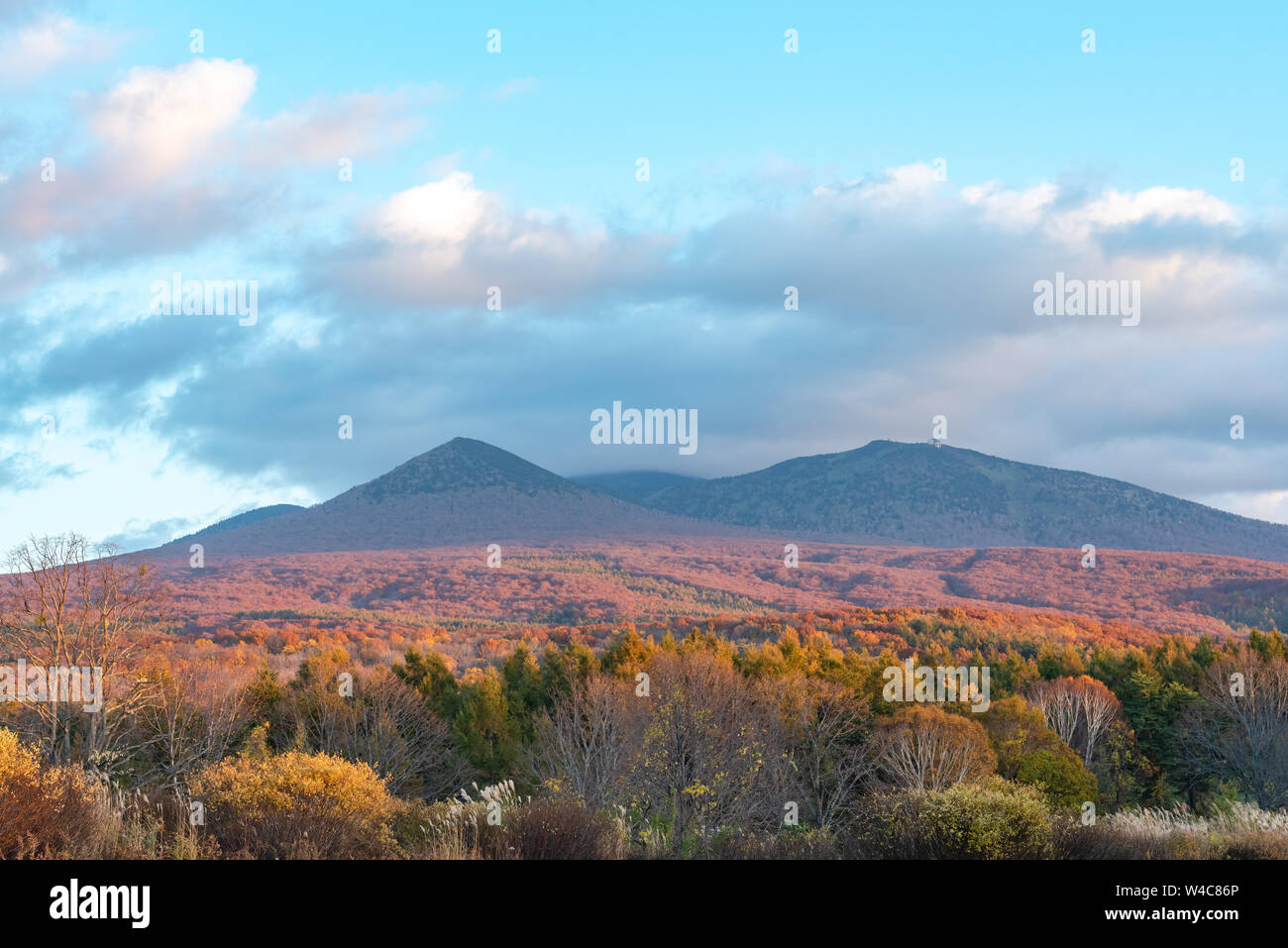 Autumn foliage scenery view, beautiful landscapes. Fall is full of ...