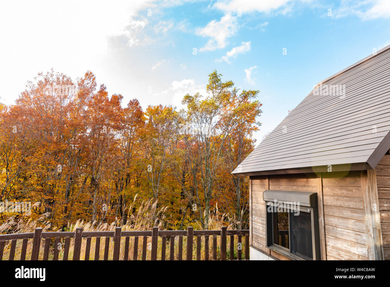 Autumn foliage scenery view, beautiful landscapes. Colorful forest ...