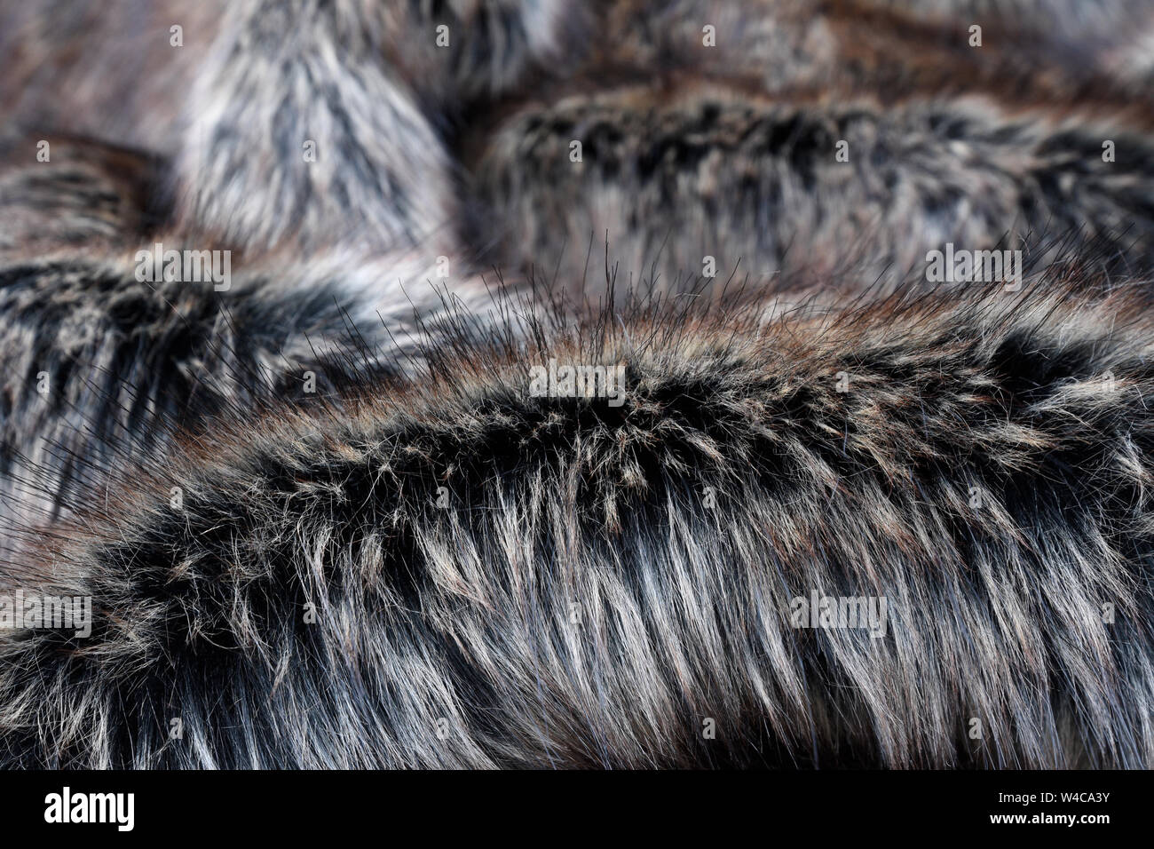 Wolf skin hi-res stock photography and images - Alamy
