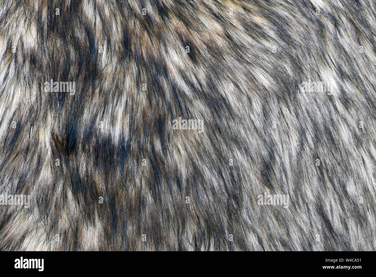 Wolf skin hi-res stock photography and images - Alamy