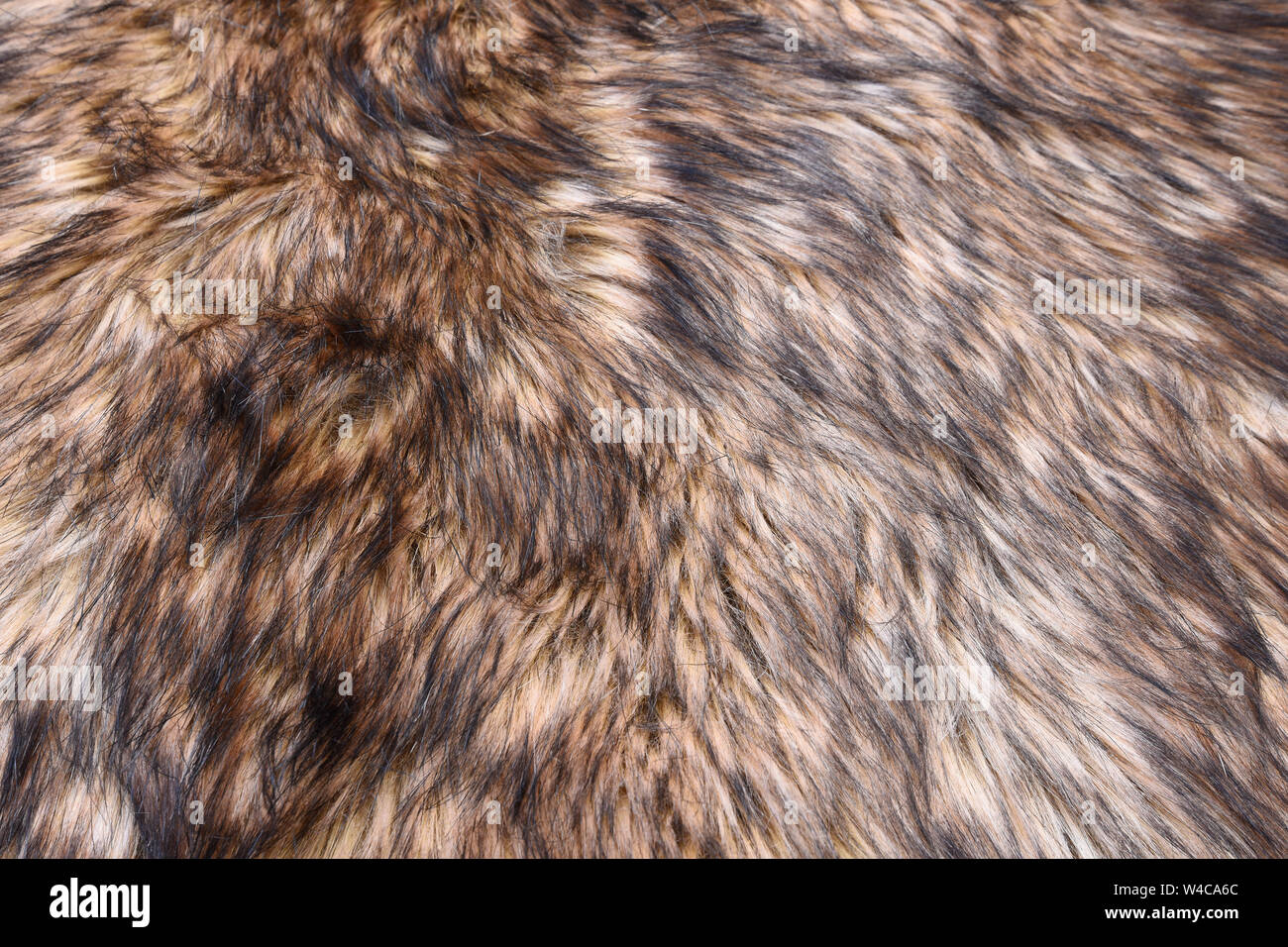 Wolf Fur Texture