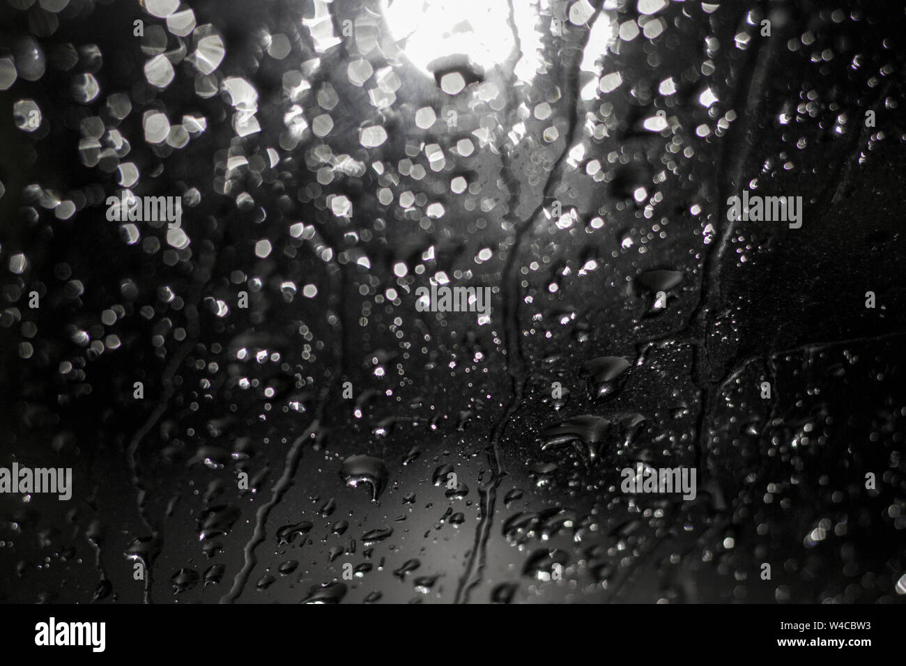 night blurred rain drops bokeh Stock Photo - Alamy