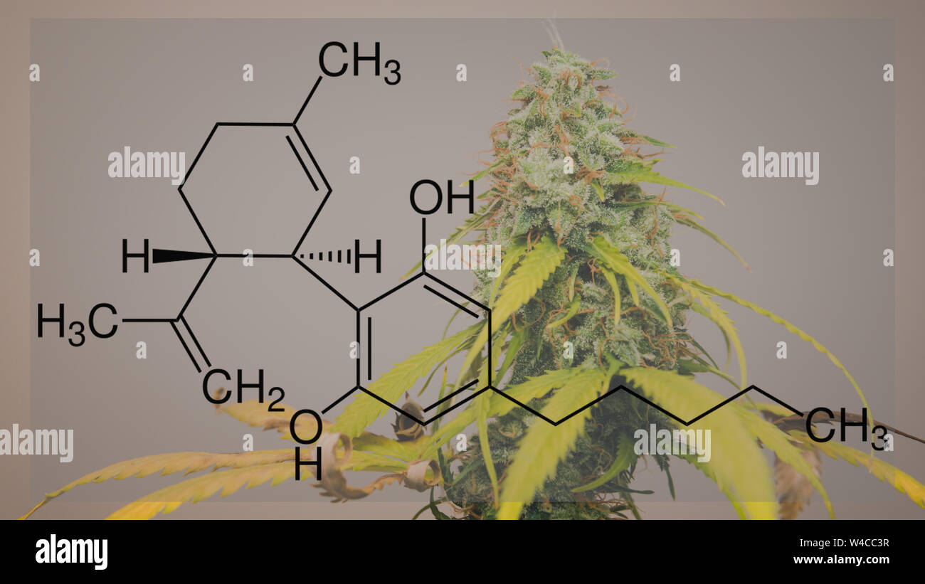 Herbal formula hi-res stock photography and images - Alamy