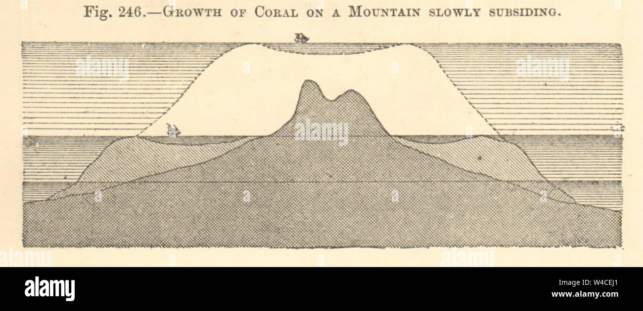 Growth of Coral on a mountain slowly subsiding. Atoll. SMALL. Section ...