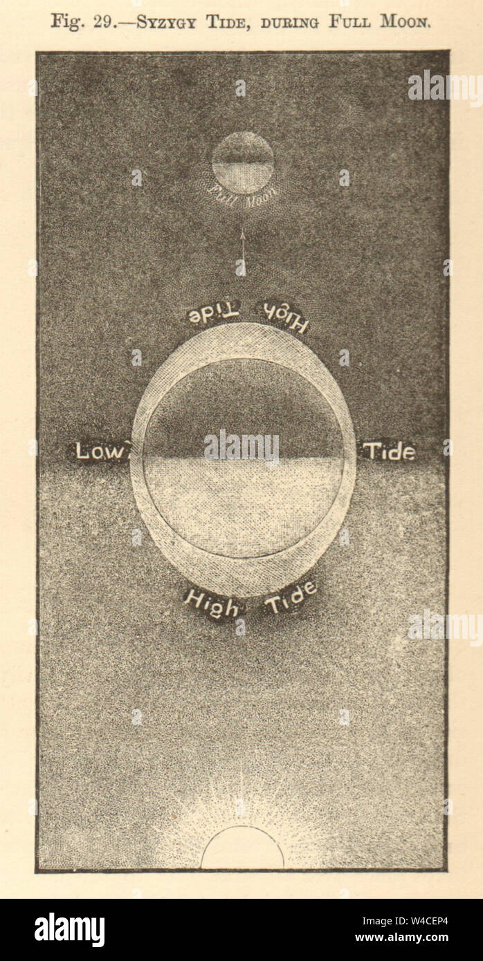 Syzygy Tide, during full moon. Astronomy 1886 old antique print picture ...