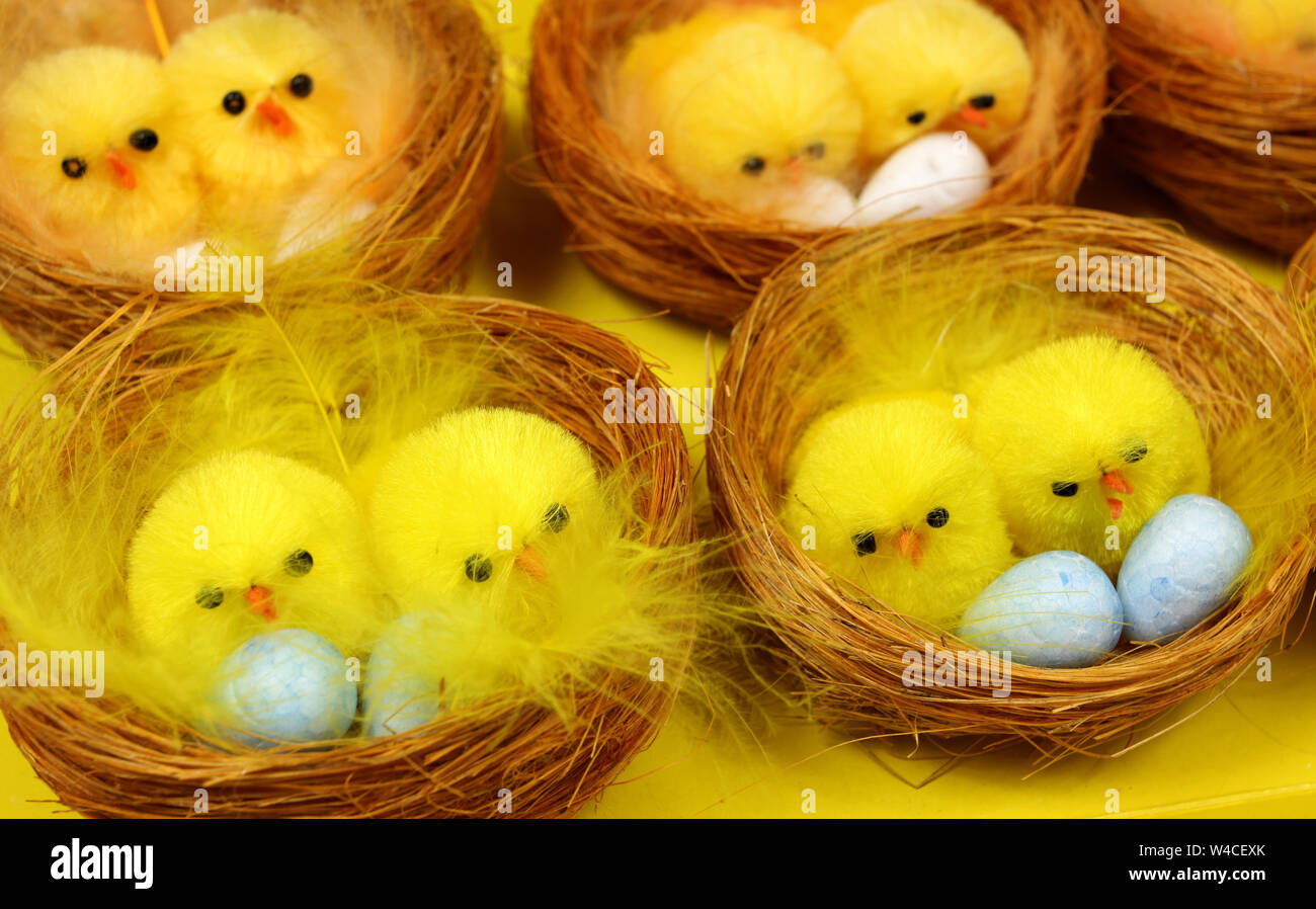 Chicken nests hi-res stock photography and images - Alamy