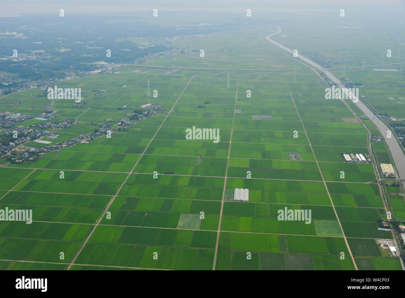 Aerial view of paddy rice field at summer day near Narita, Japan Stock ...