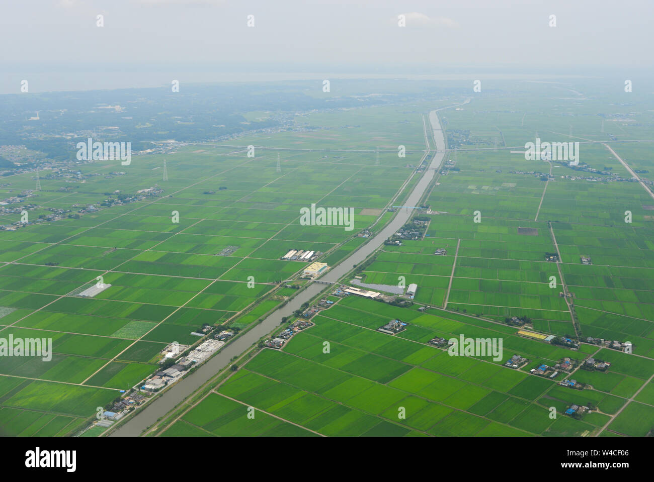 Aerial view of paddy rice field at summer day near Narita, Japan Stock ...