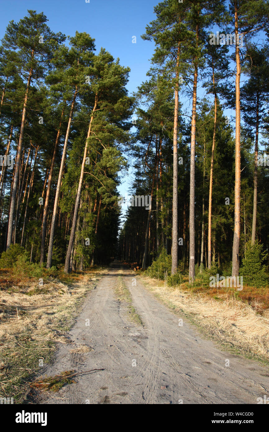 Long stright path hi-res stock photography and images - Alamy