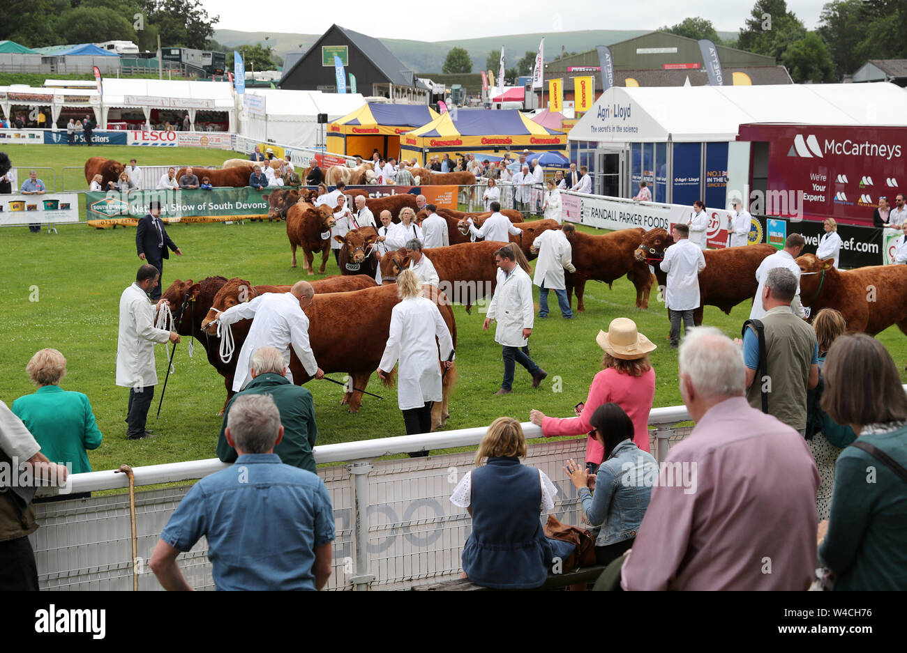 A general view of the 100th royal welsh show at llanelwedd, builth ...