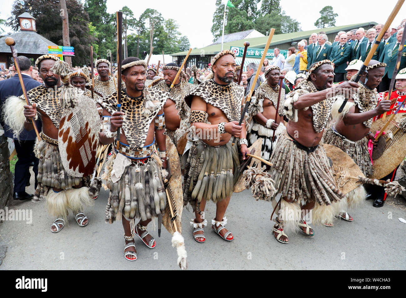 Members of the Zulu 'impi' regiment during the 100th Royal Welsh Show ...