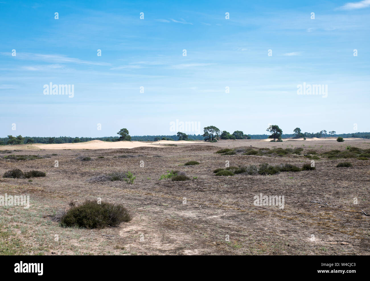 Heather sand hi-res stock photography and images - Alamy