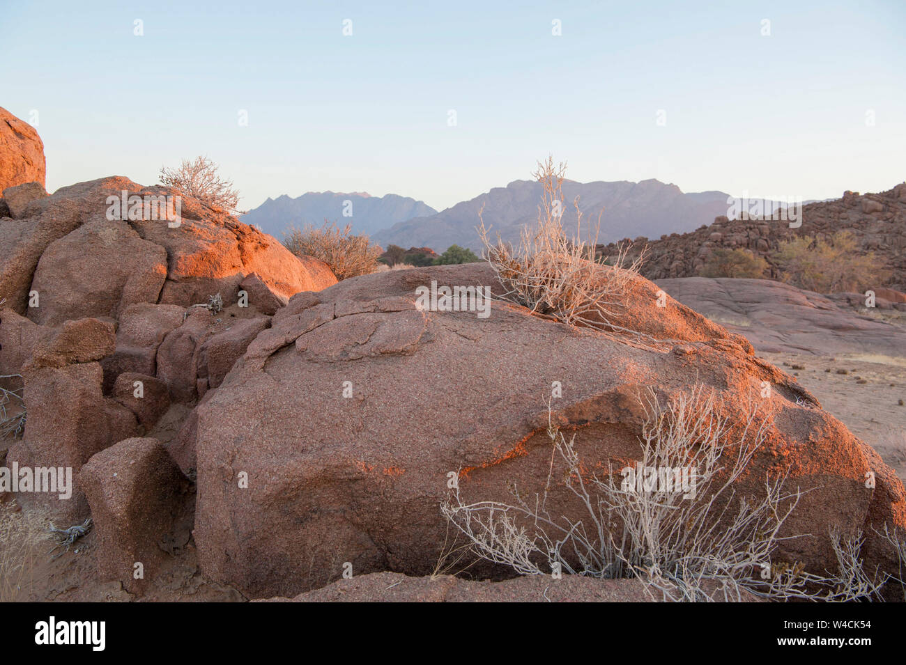 Harsh Namibian desert landscape, Namibia Stock Photo - Alamy