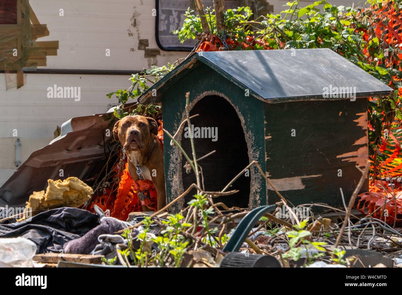 Inspection of the (Francesco Bozzo/Fotogramma, Milan Stock Photo - Alamy
