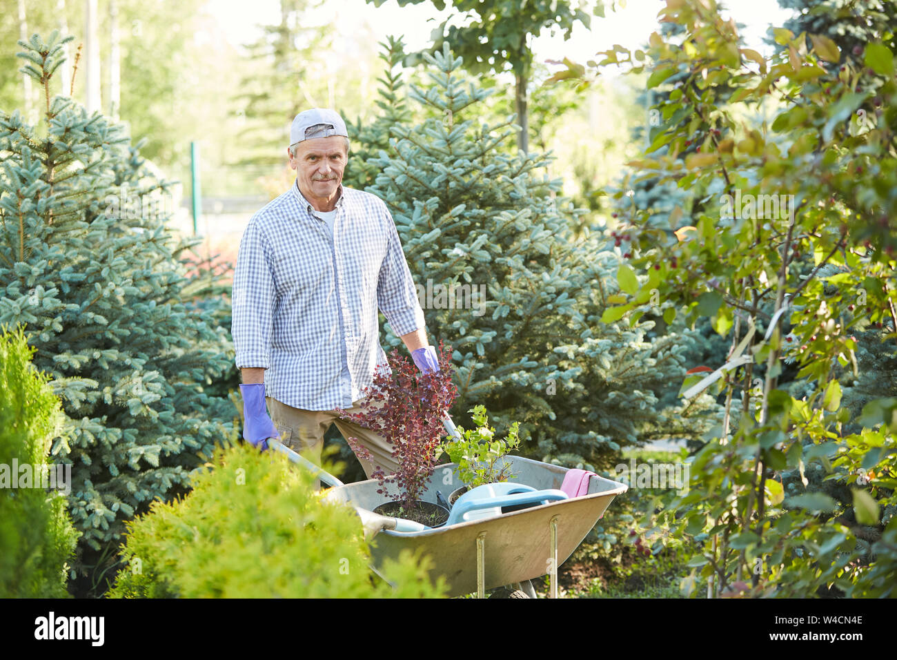 Man pulling cart hi-res stock photography and images - Alamy