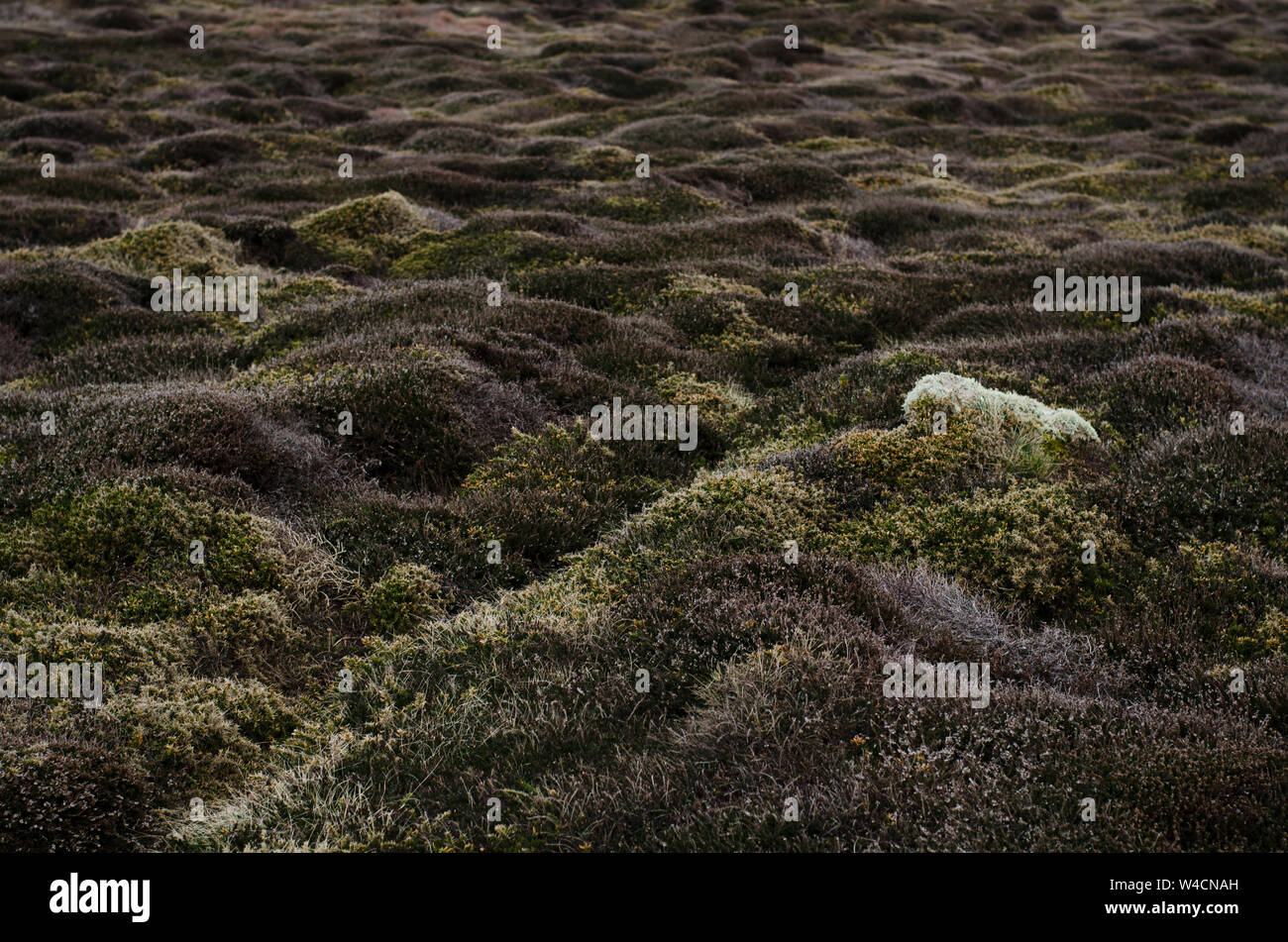 Wobble hi-res stock photography and images - Alamy