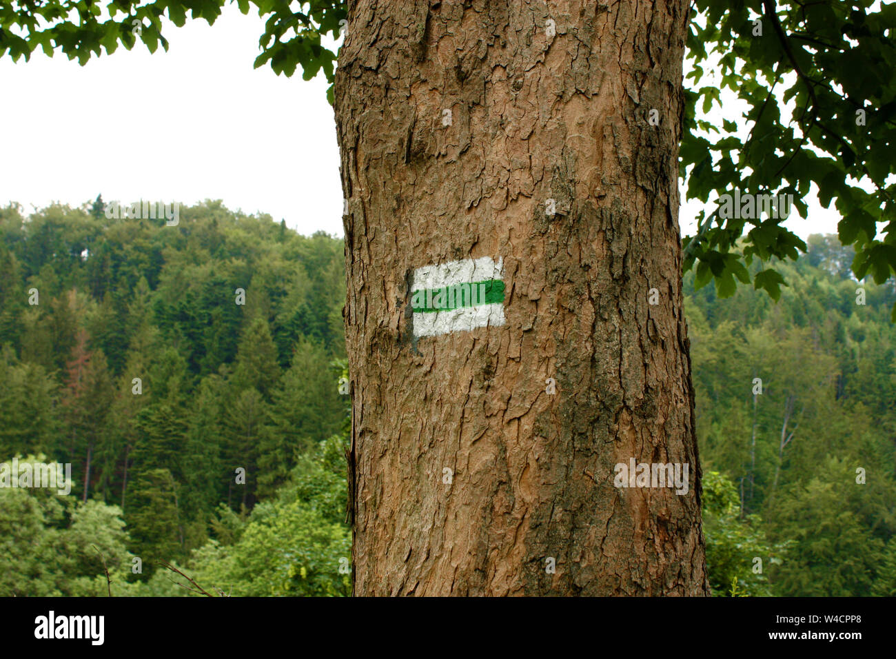 Green tourist trial sign in mountain Stock Photo - Alamy