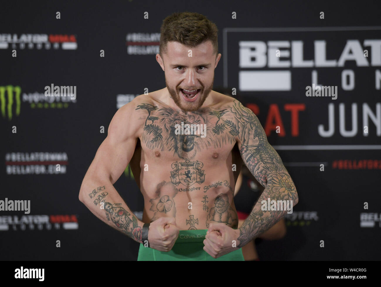 Bellator photos hi-res stock photography and images - Alamy