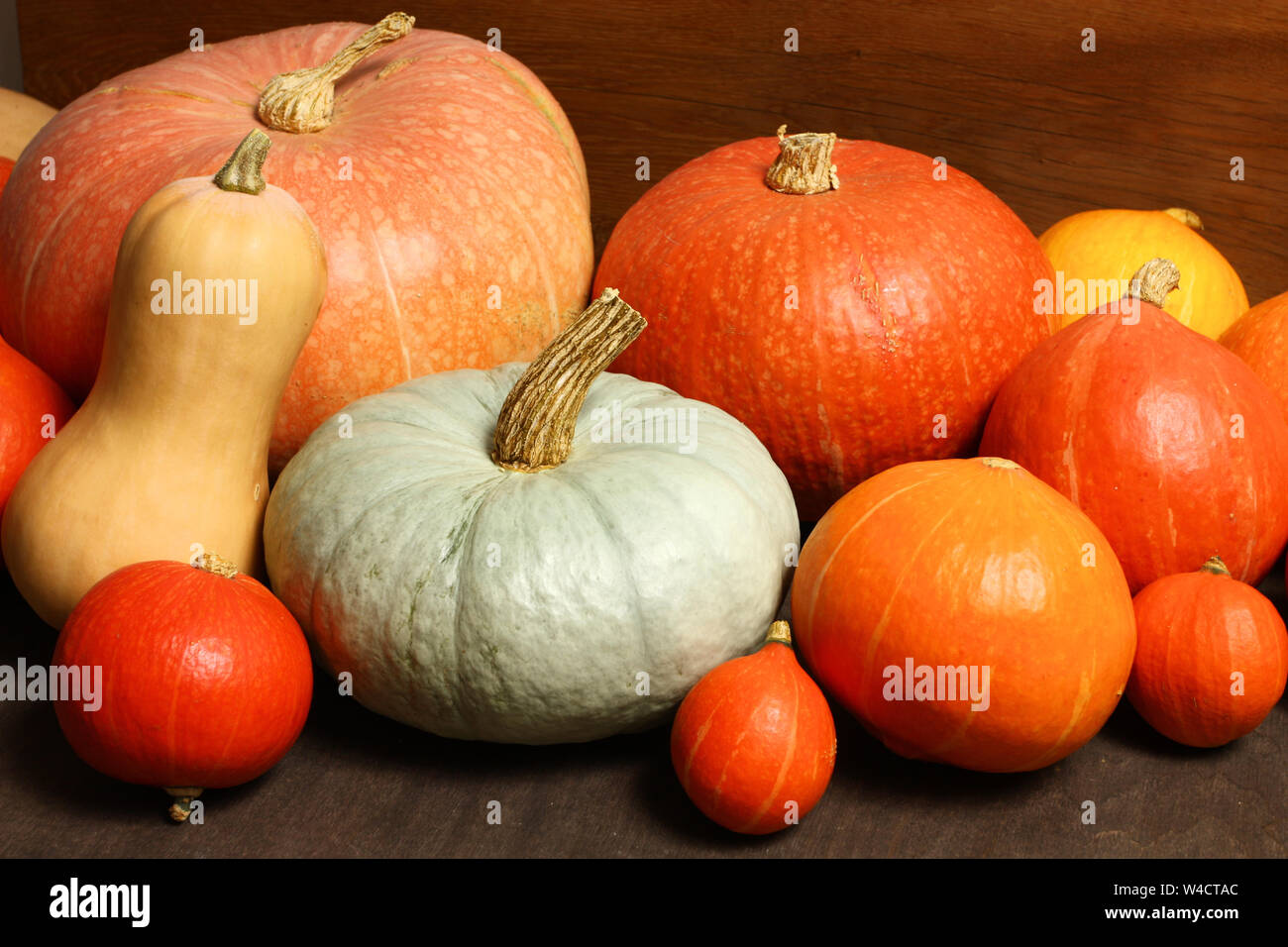 Group of various pumpkins Stock Photo - Alamy