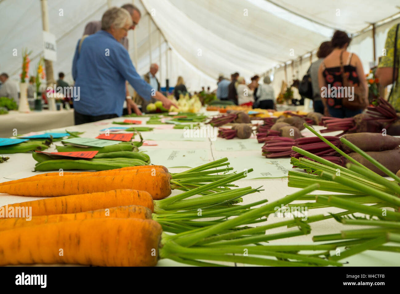 Competition vegetables (carrots) on display at Llanfyllin village show ...