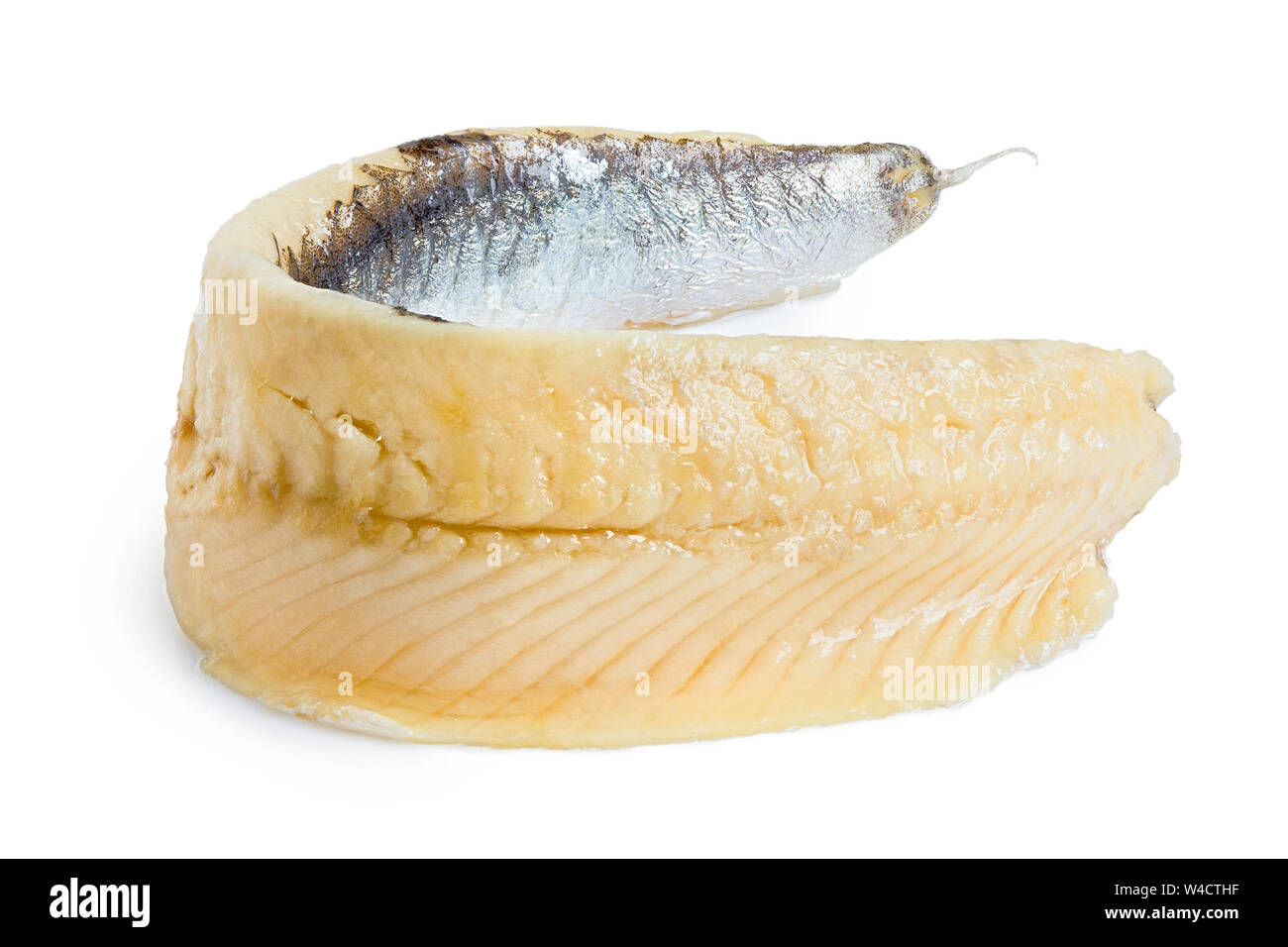 A single piece of anchovy fillet isolated on white Stock Photo - Alamy