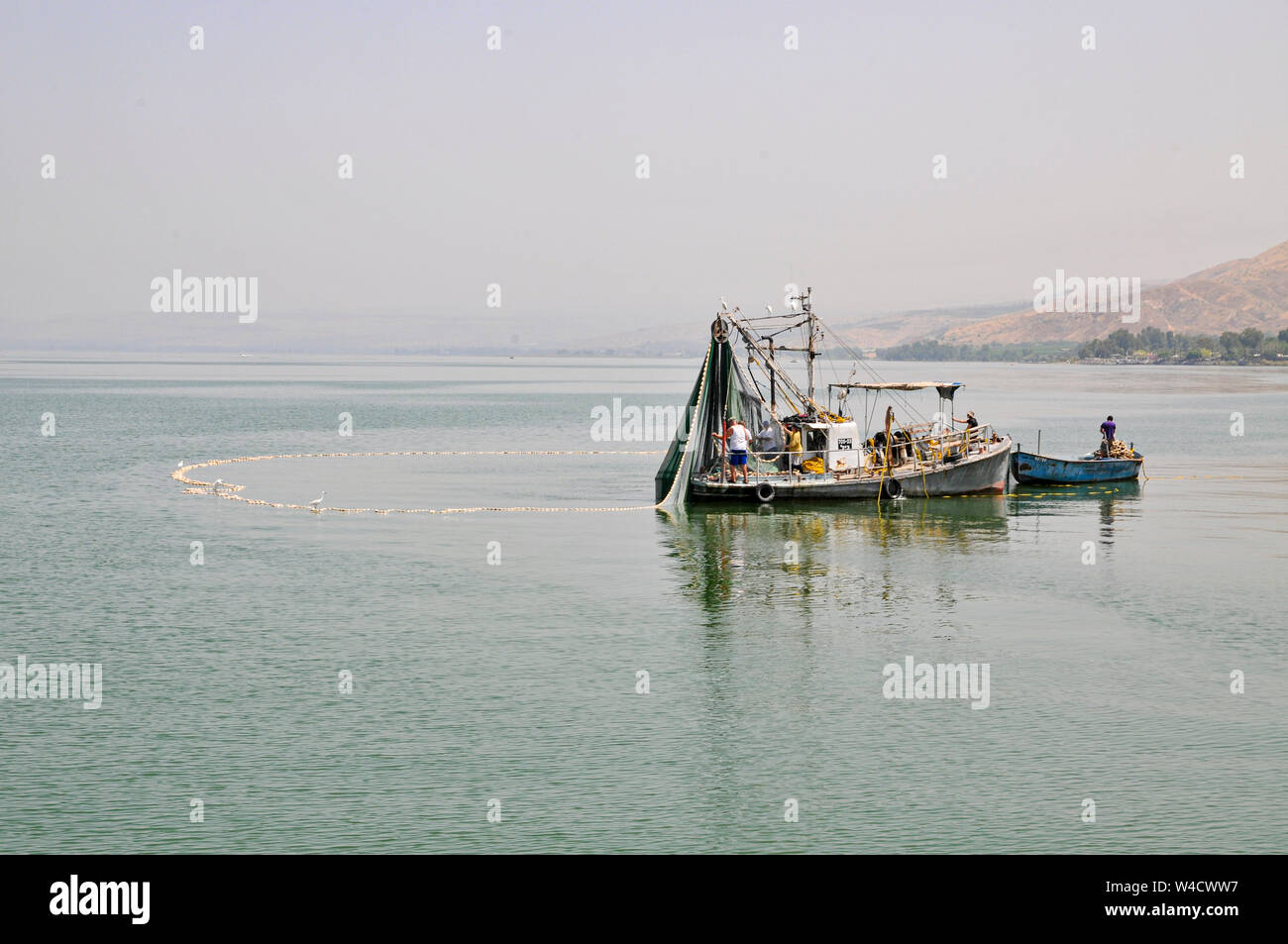 fishing boat rounding up fish in a net the Sea of Galilee, Israel Stock ...