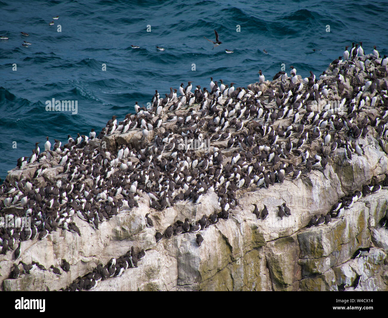 Stack rocks hi-res stock photography and images - Alamy